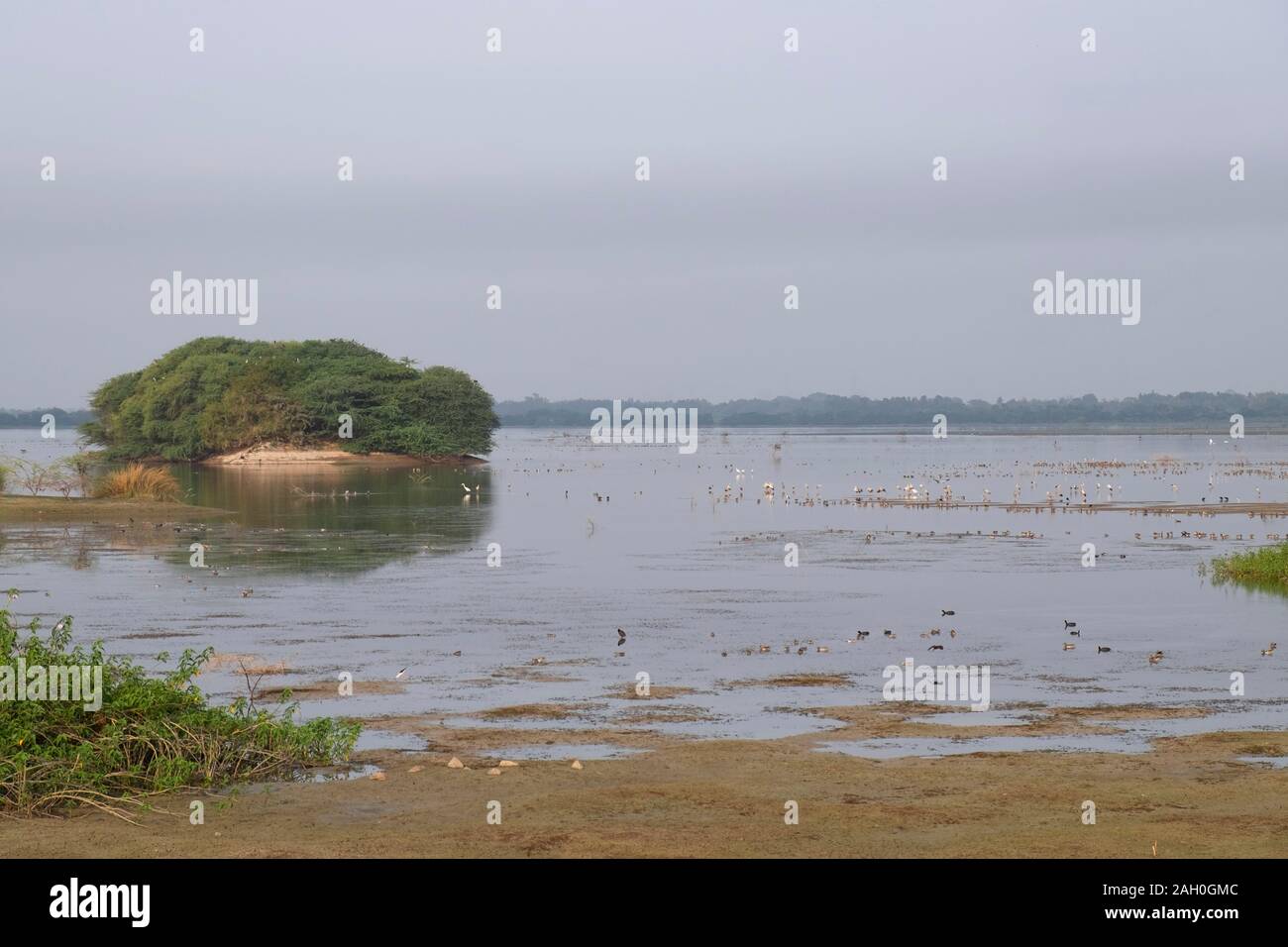 View of Karaivetti Bird Sanctuary, Ariyalur District, Tamil Nadu, India ...