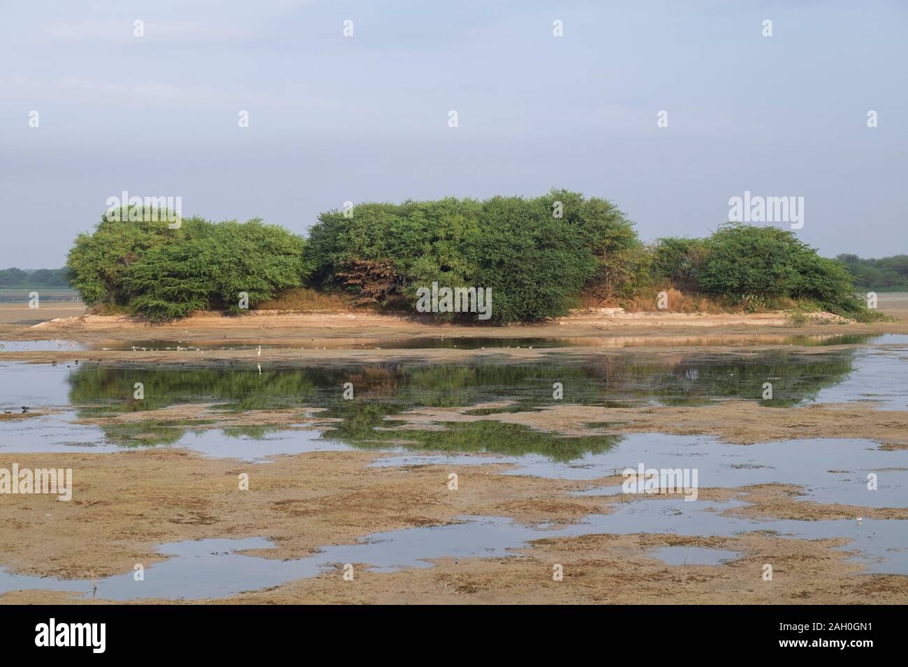 View of Karaivetti Bird Sanctuary, Ariyalur District, Tamil Nadu, India ...