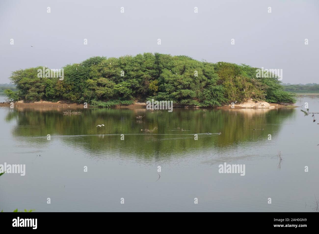 View of Karaivetti Bird Sanctuary, Ariyalur District, Tamil Nadu, India ...