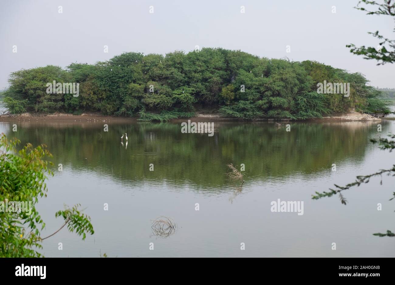 View of Karaivetti Bird Sanctuary, Ariyalur District, Tamil Nadu, India ...