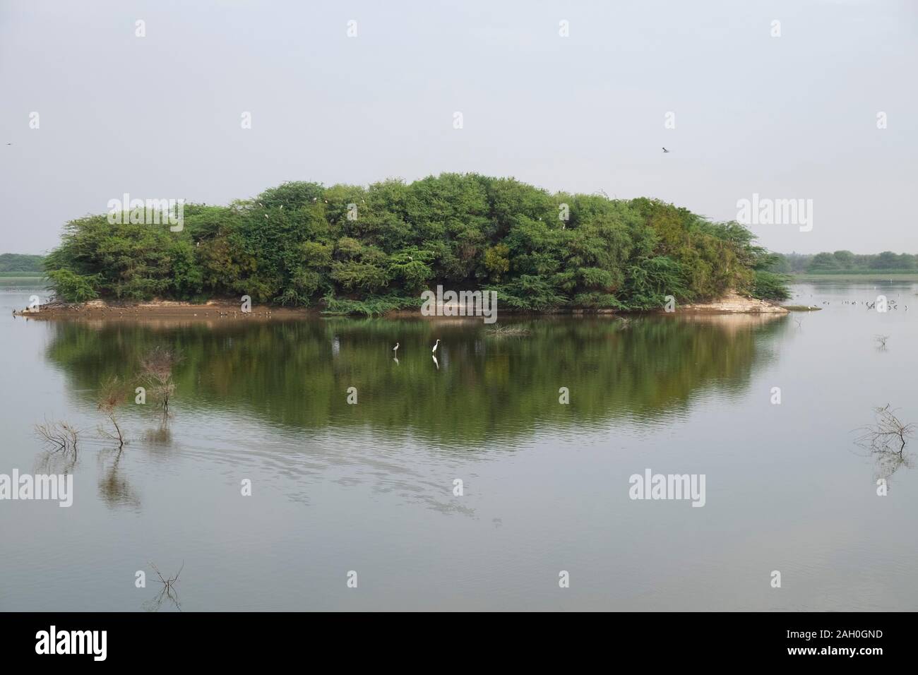 View of Karaivetti Bird Sanctuary, Ariyalur District, Tamil Nadu, India ...