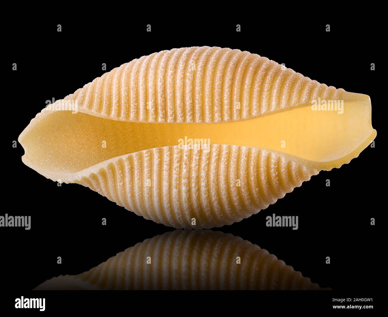 Macro photo of conchiglie pasta shell isolated on black background ...