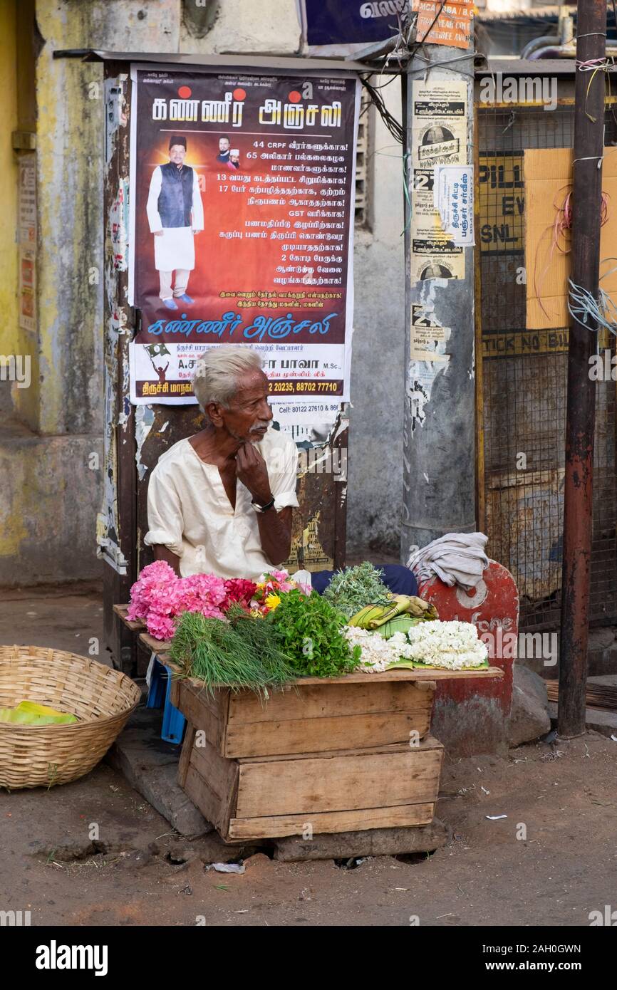 Vendor selling produce at roadside in Trichy, Tamil Nadu, India Stock ...