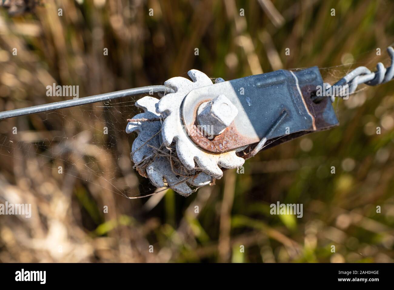 Fire hose attached to water source valve Stock Photo - Alamy