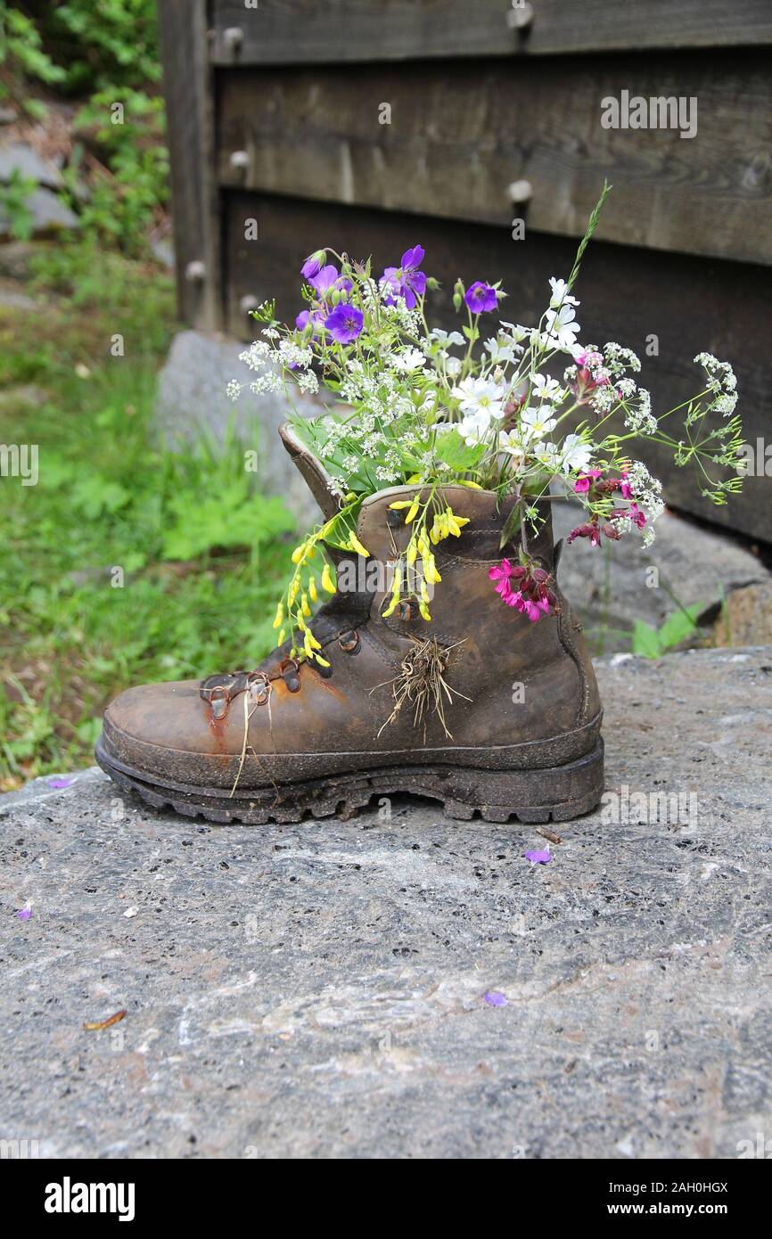 Unique garden decoration - flower pot made of a boot Stock Photo - Alamy