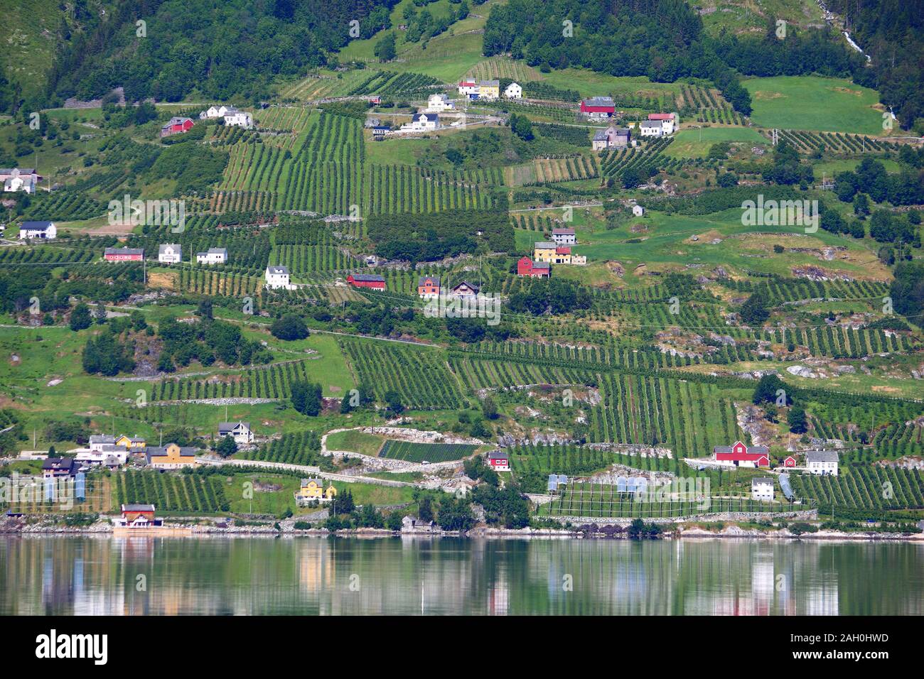 Norway cider land - apple orchards of Aga Stock Photo - Alamy
