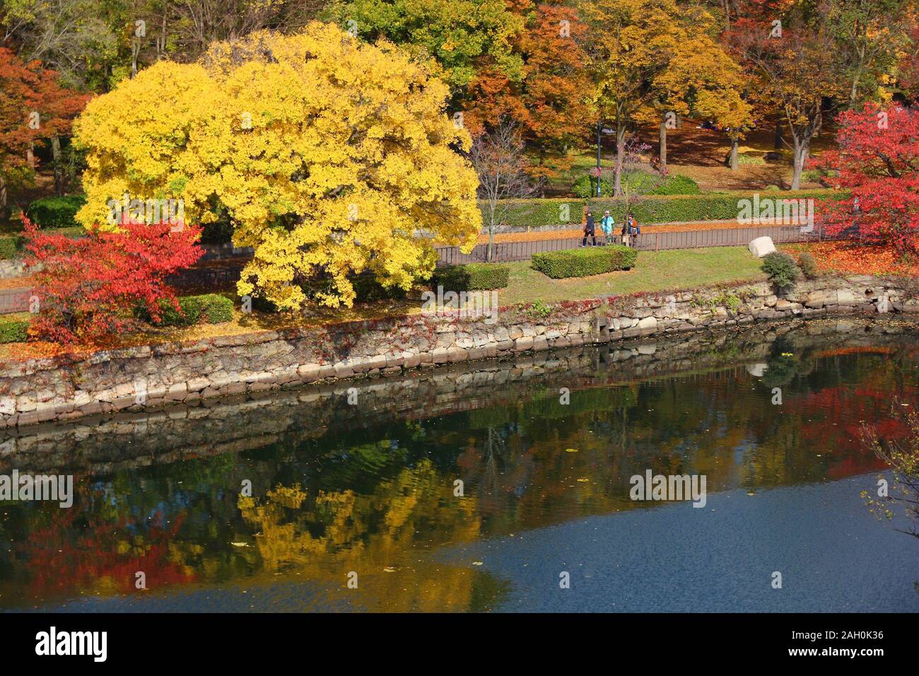 Japanese autumn. Osaka, Japan - Castle Park view with autumn trees ...