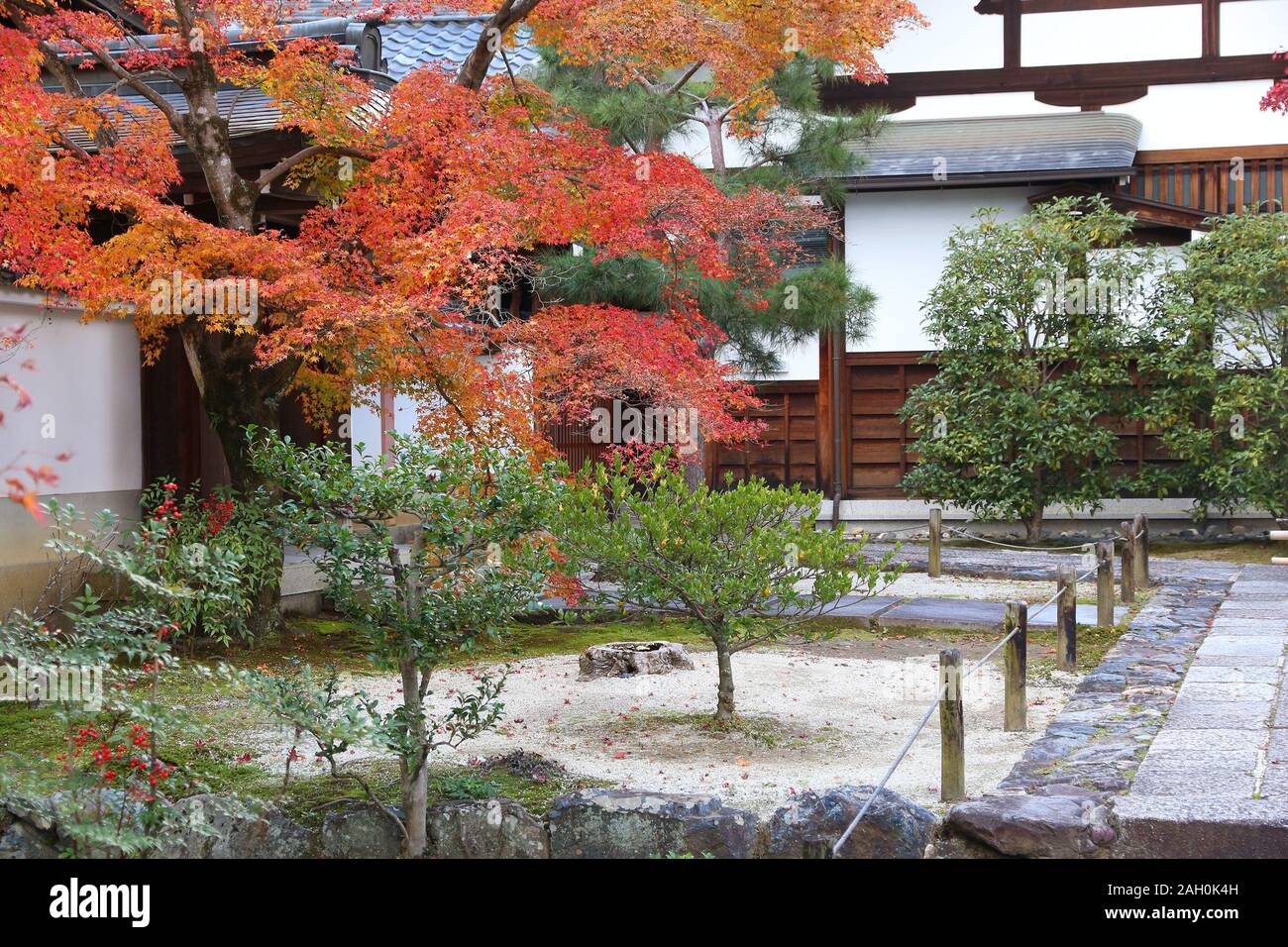 Tenryuji temple garden autumn leaves kyoto japan hi-res stock ...