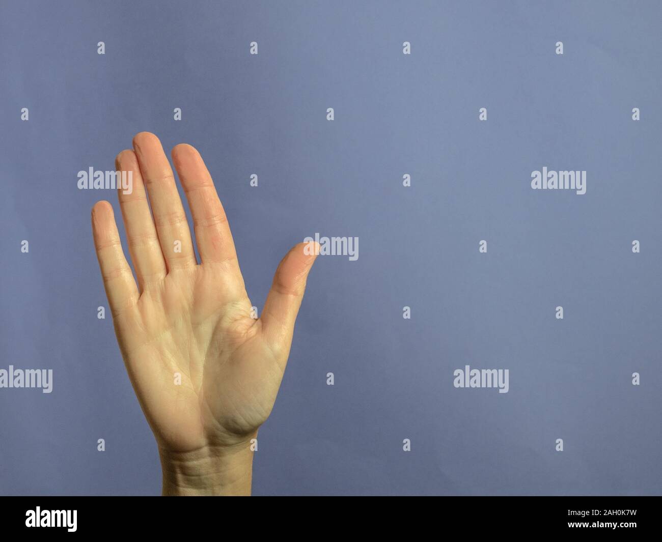 Open palm stop hi-res stock photography and images - Alamy