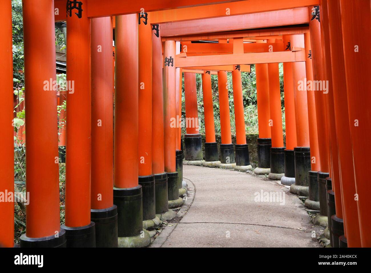 KYOTO, JAPAN - NOVEMBER 28, 2016: Tori gates of Fushimi Inari Taisha ...