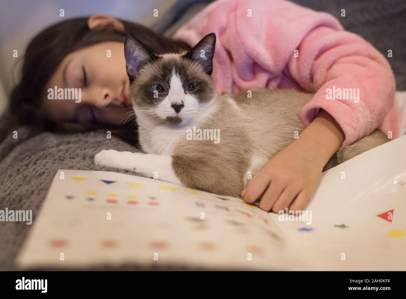 Cat sofa child snuggle hi-res stock photography and images - Alamy