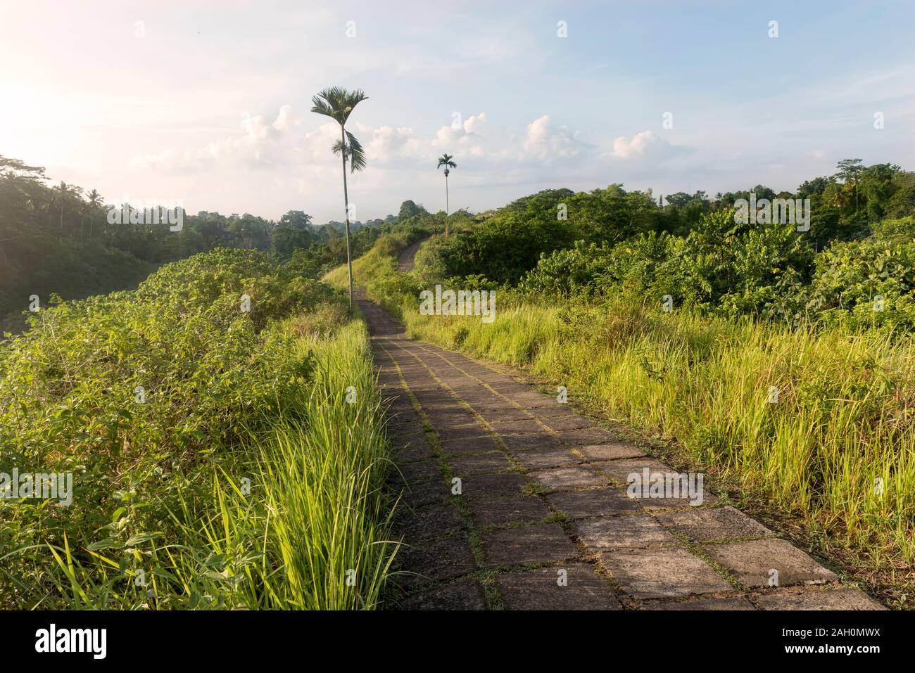 Ubud ridge trail hi-res stock photography and images - Alamy