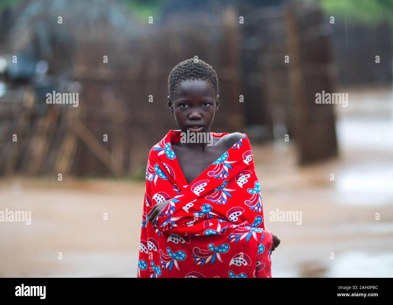Larim tribe girl portrait, Boya Mountains, Imatong, South Sudan Stock ...