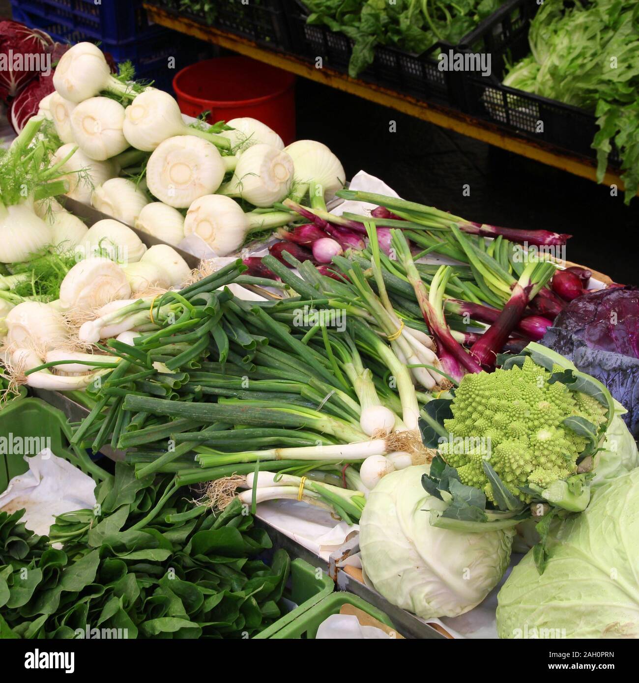 Vegetable market stall in Parma, Italy - lettuce, cauliflower, cabbage ...