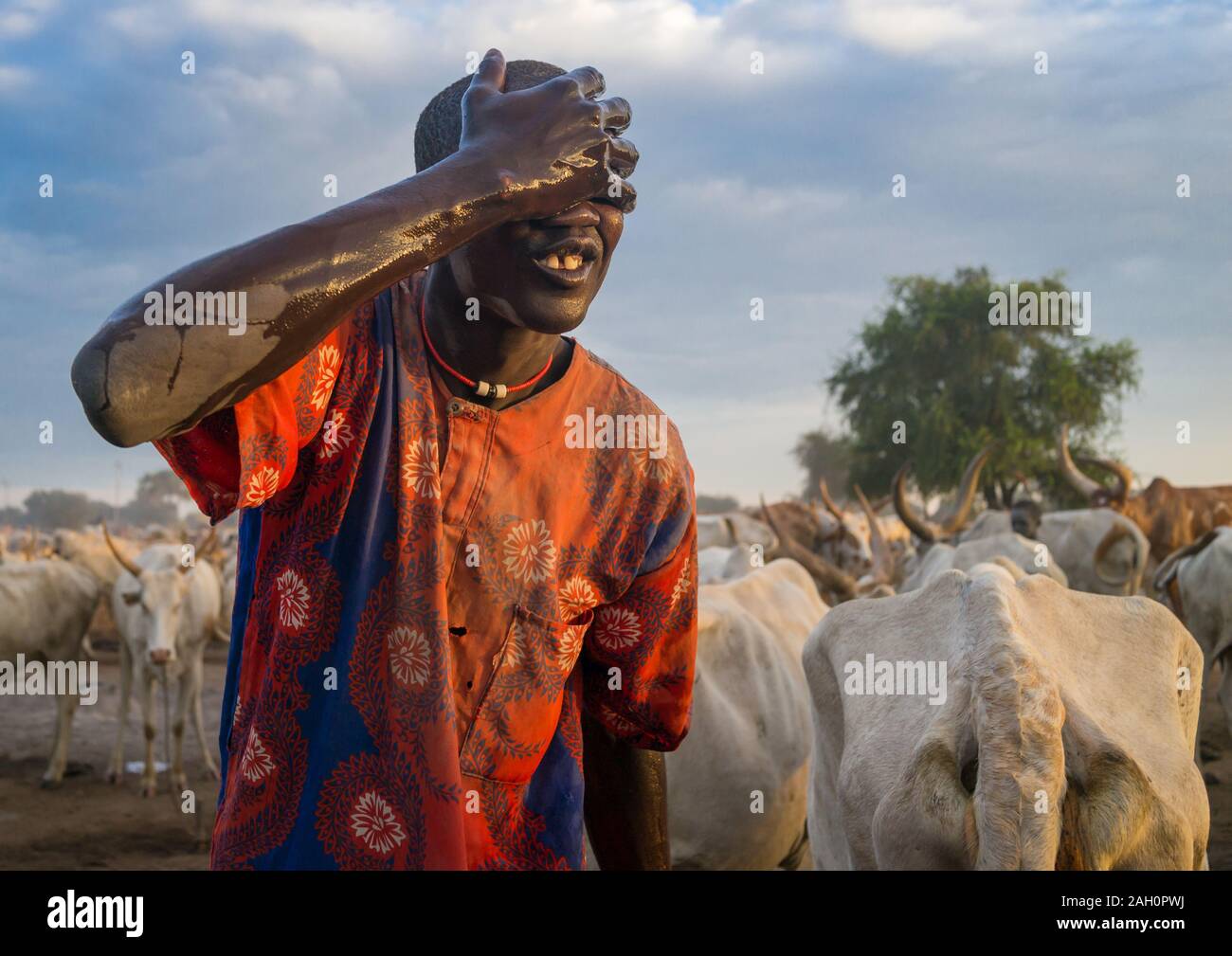 Mundari tribe man showering with cow urine to take advantage of the antibacterial properties ...