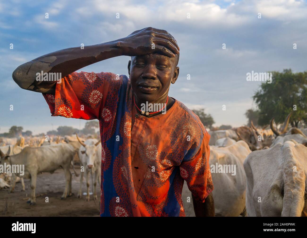 Mundari tribe man showering with cow urine to take advantage of the antibacterial properties ...