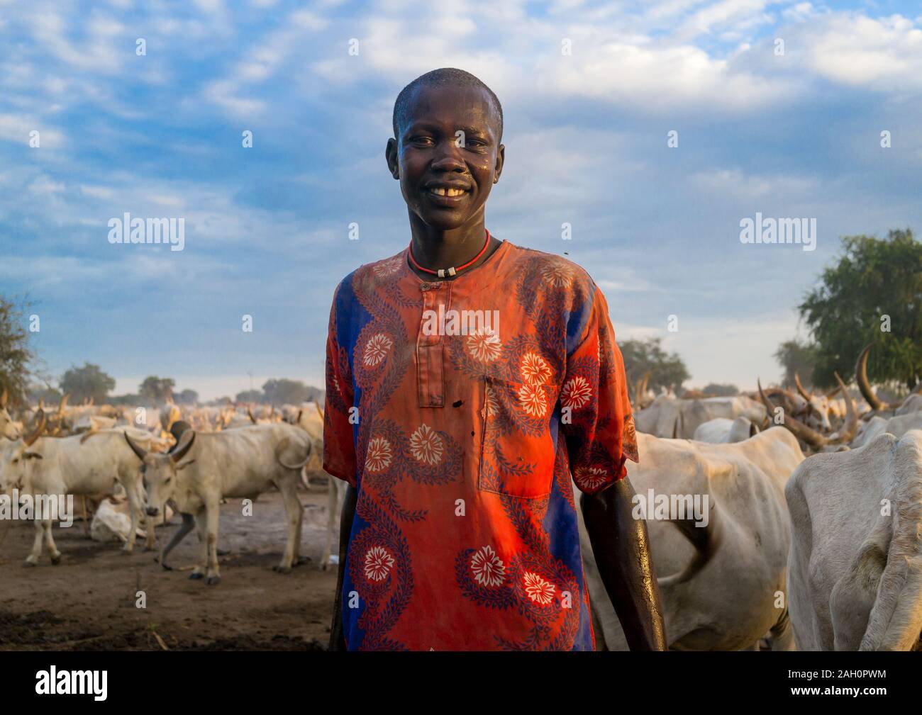 Mundari tribe man showering with cow urine to take advantage of the antibacterial properties ...