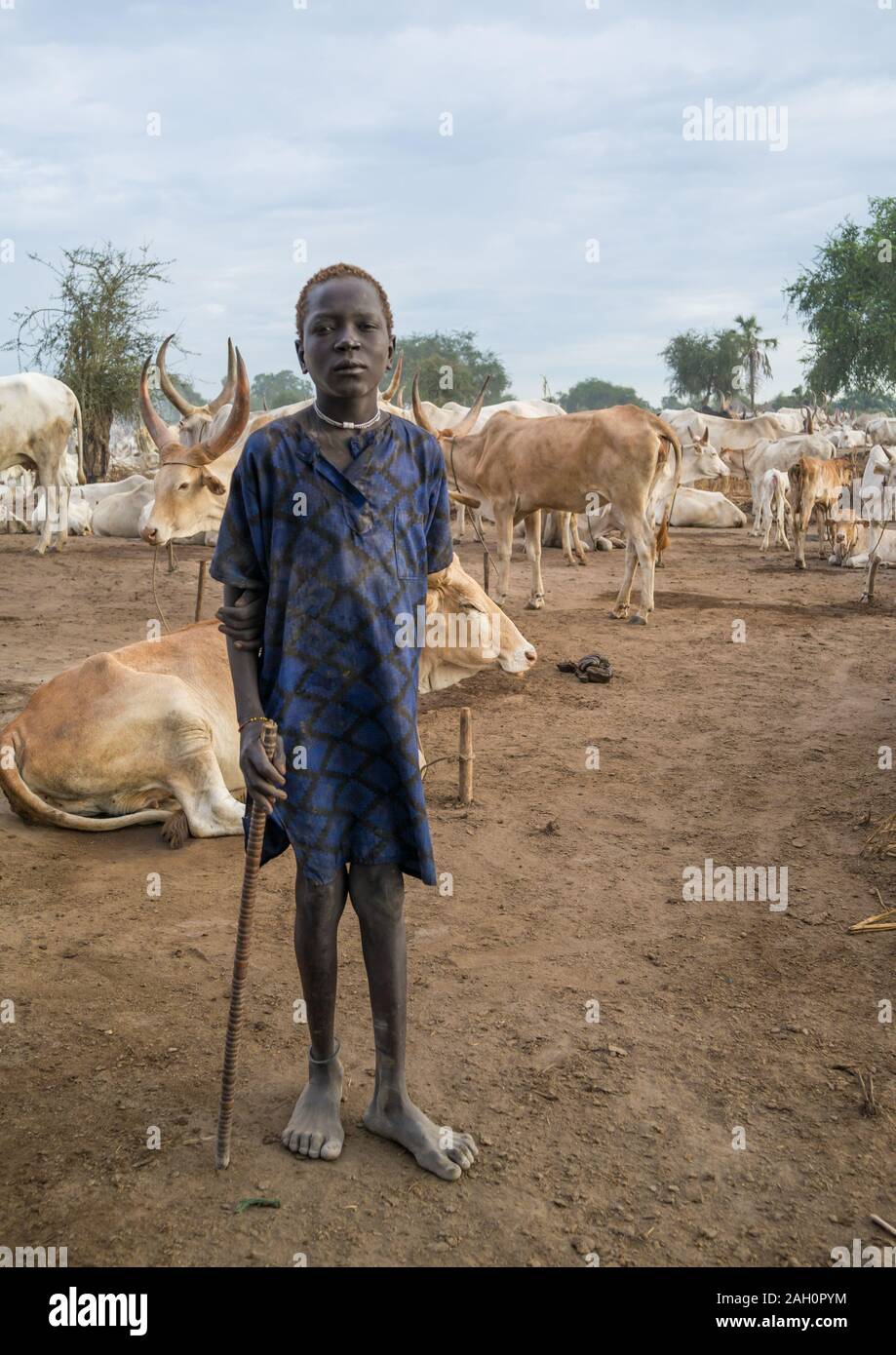 Portrait of a Mundari tribe boy with long horns cows, Central Equatoria, Terekeka, South Sudan ...
