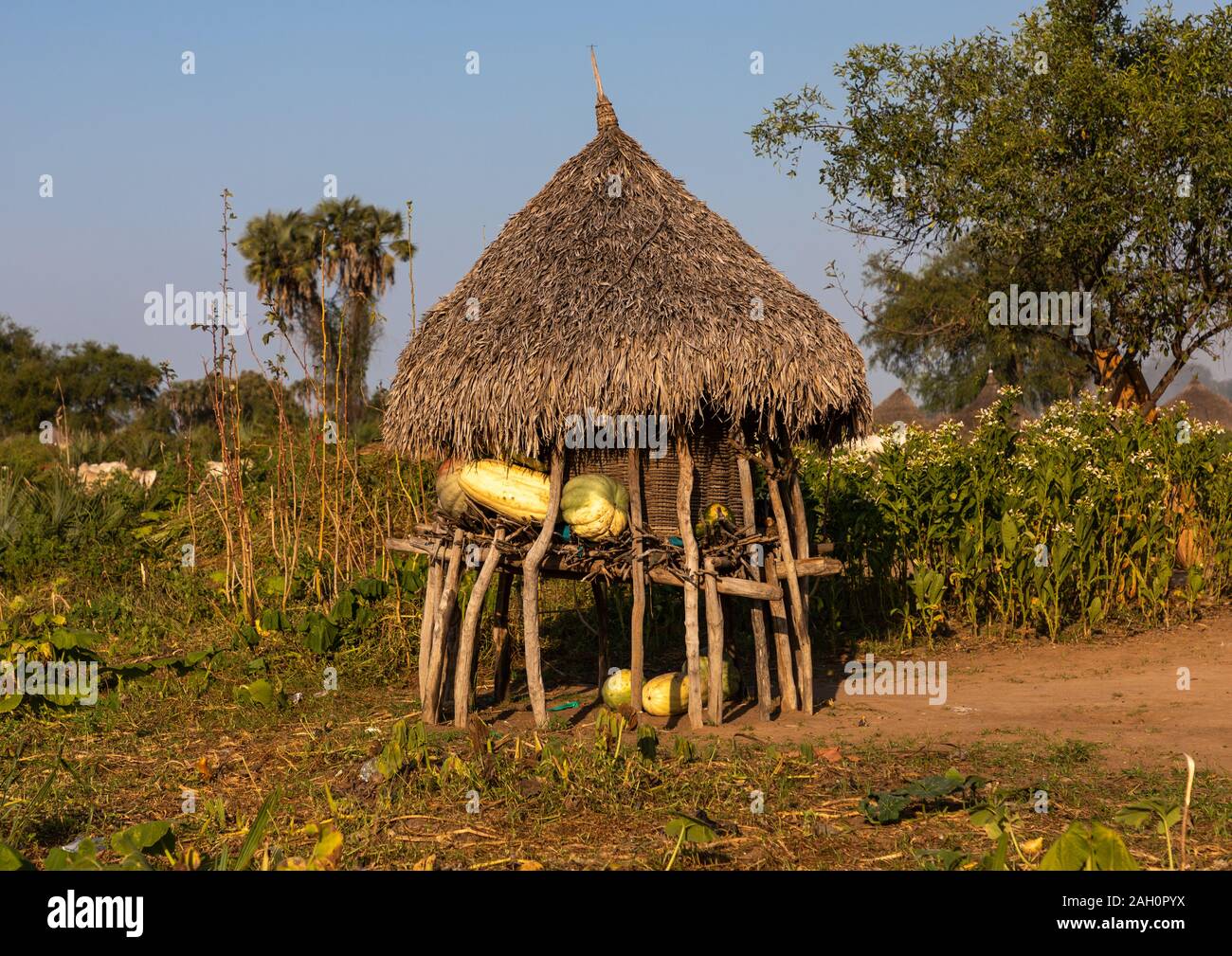 Traditional granary in a Mundari tribe village, Central Equatoria ...