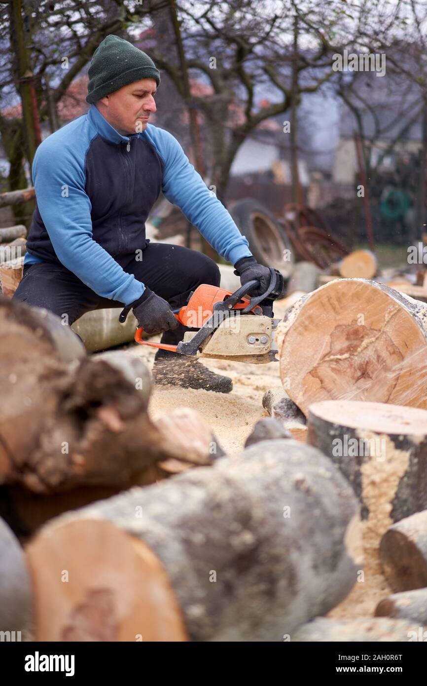 Lumberjack working on beech logs with chainsaw Stock Photo - Alamy