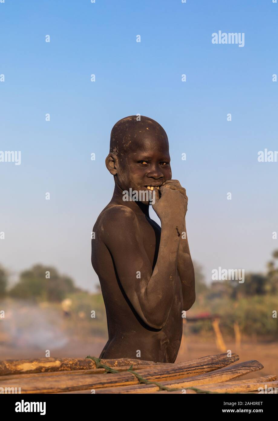 Mundari tribe boy covered in ash taking care of long horns cows in a camp, Central Equatoria ...