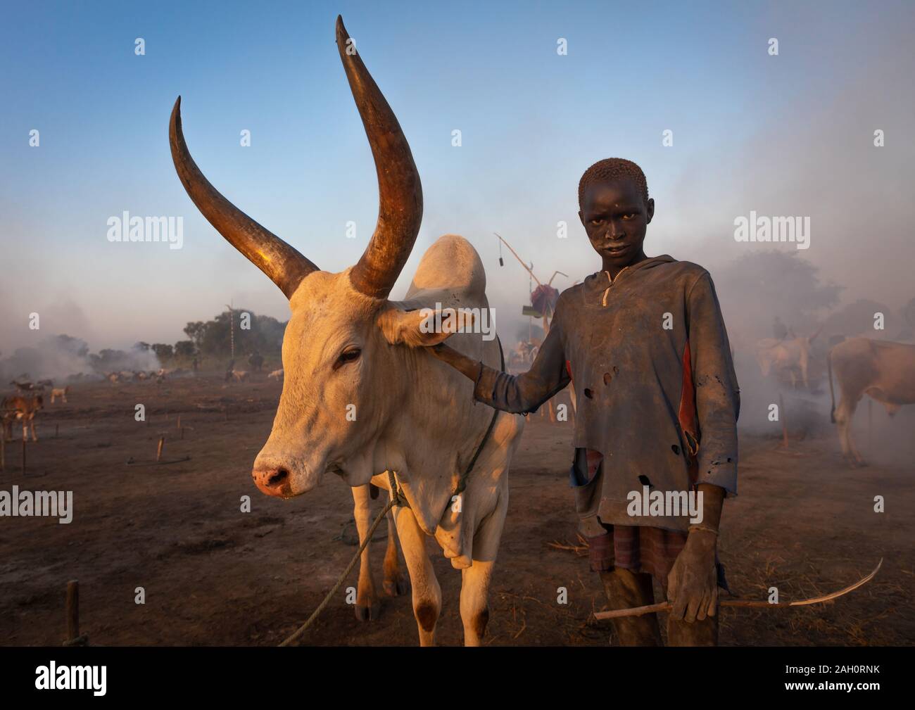 Mundari tribe boy with a long horns cow in a camp, Central Equatoria ...