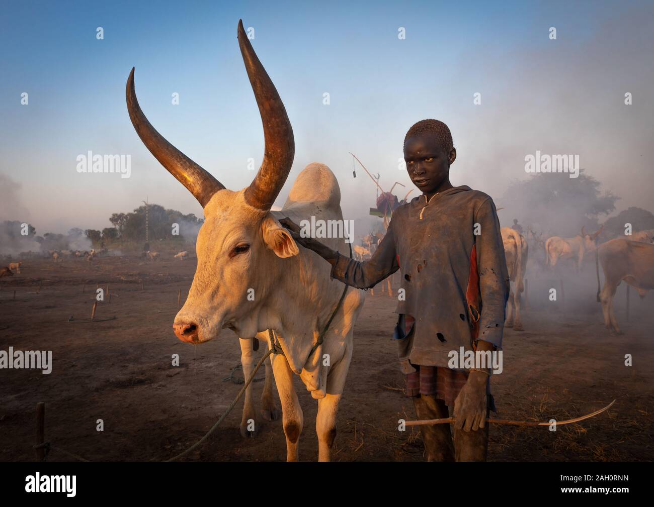 Mundari tribe boy with a long horns cow in a camp, Central Equatoria, Terekeka, South Sudan ...