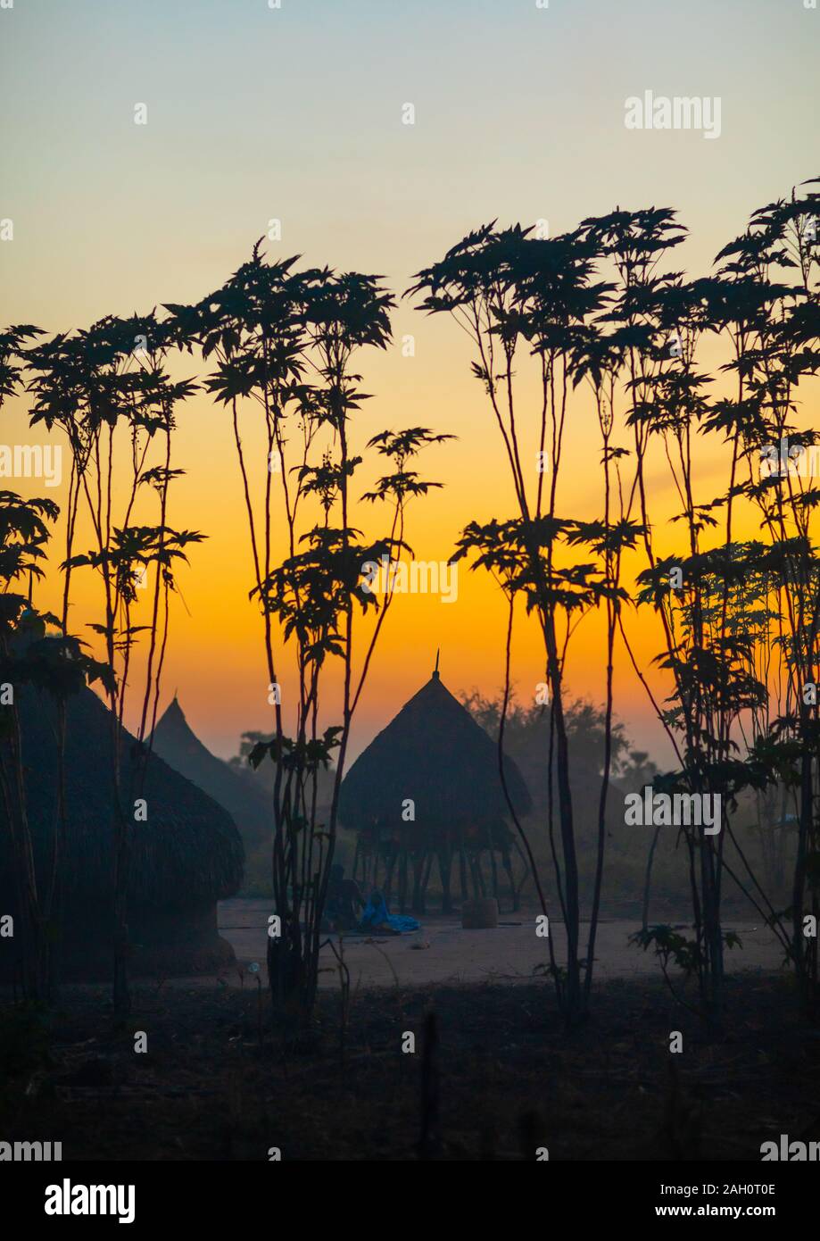 Traditional Mundari village in the sunset, Central Equatoria, Terekeka ...