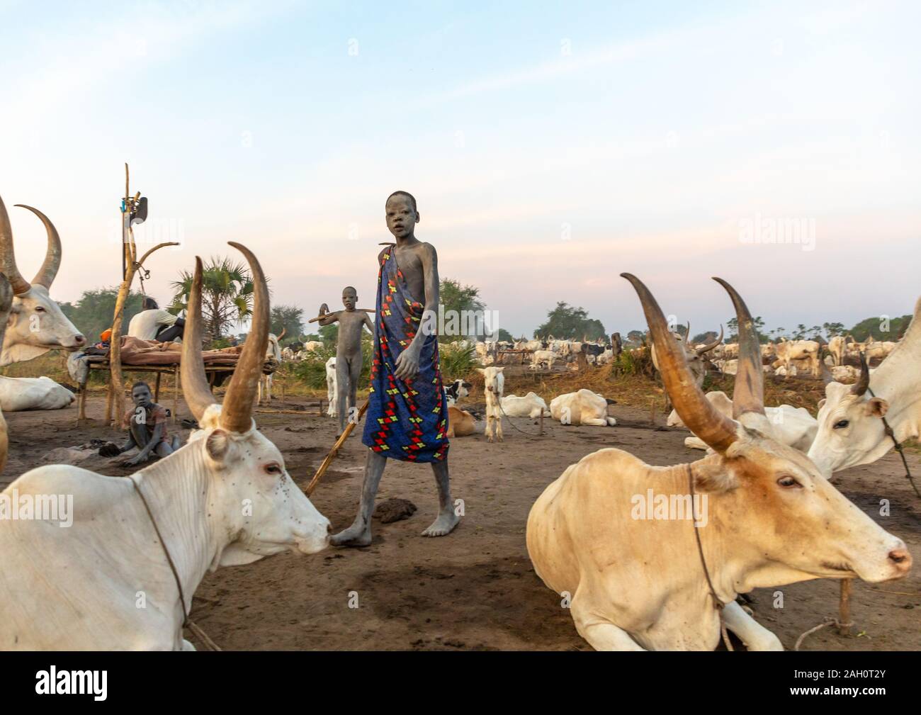 Mundari tribe boy taking care of the long horns cows in the camp, Central Equatoria, Terekeka ...