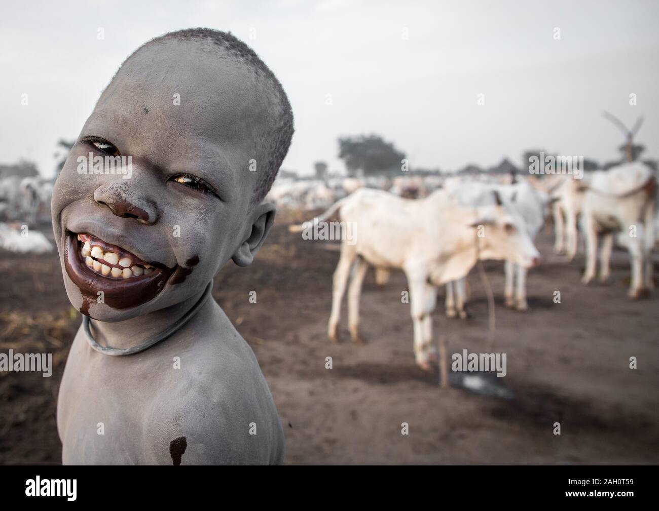 Smiling Mundari tribe boy covered in ash taking care of long horns cows in a camp, Central ...