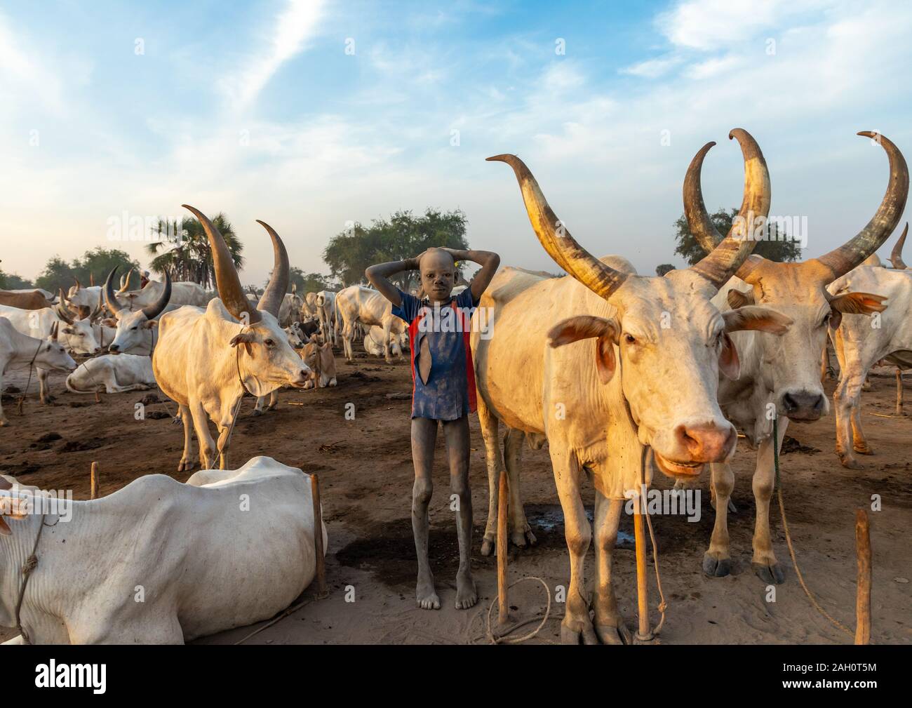 Mundari tribe boy taking care of the long horns cows in the camp, Central Equatoria, Terekeka ...