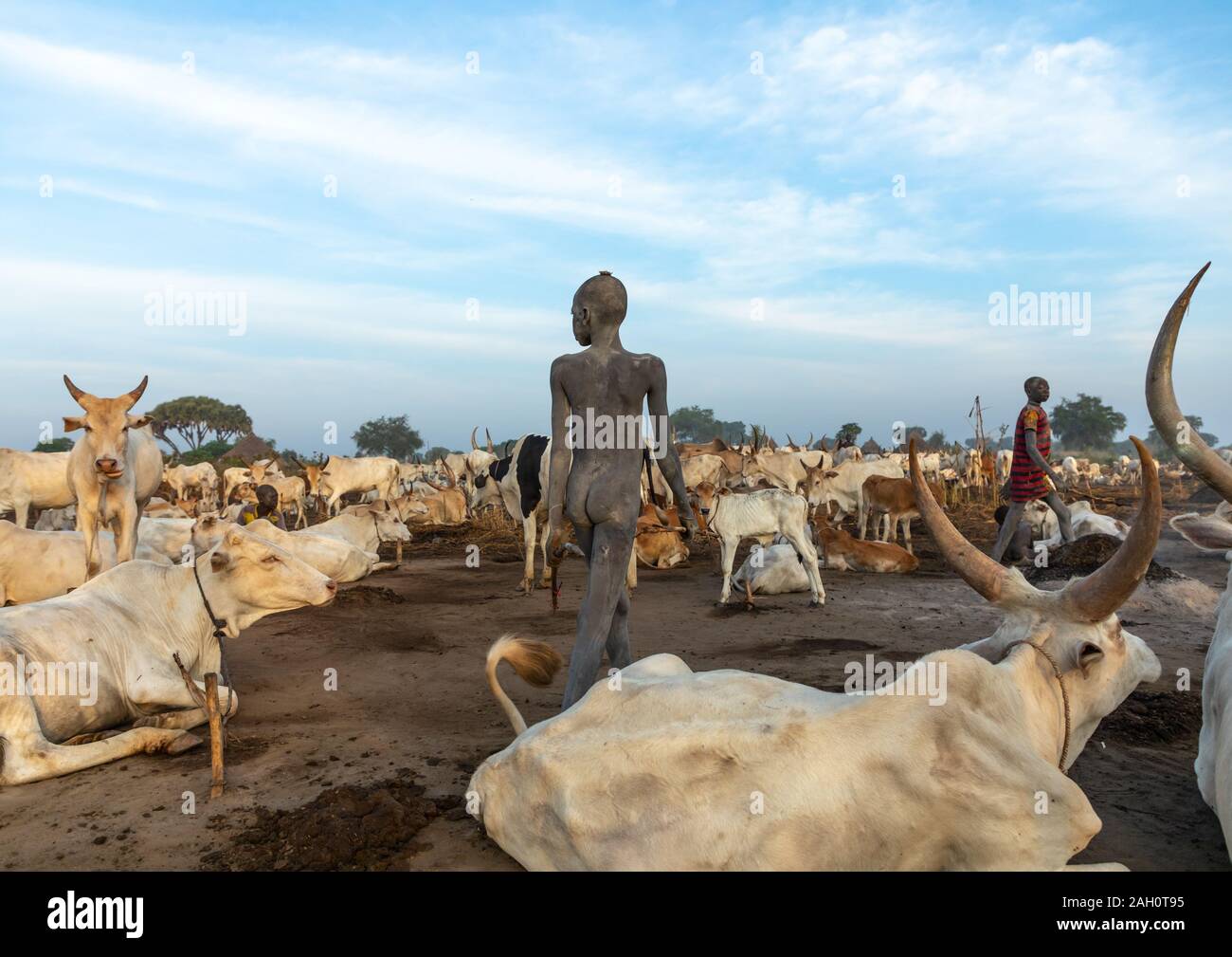 Mundari tribe boy taking care of the long horns cows in a camp, Central Equatoria, Terekeka ...