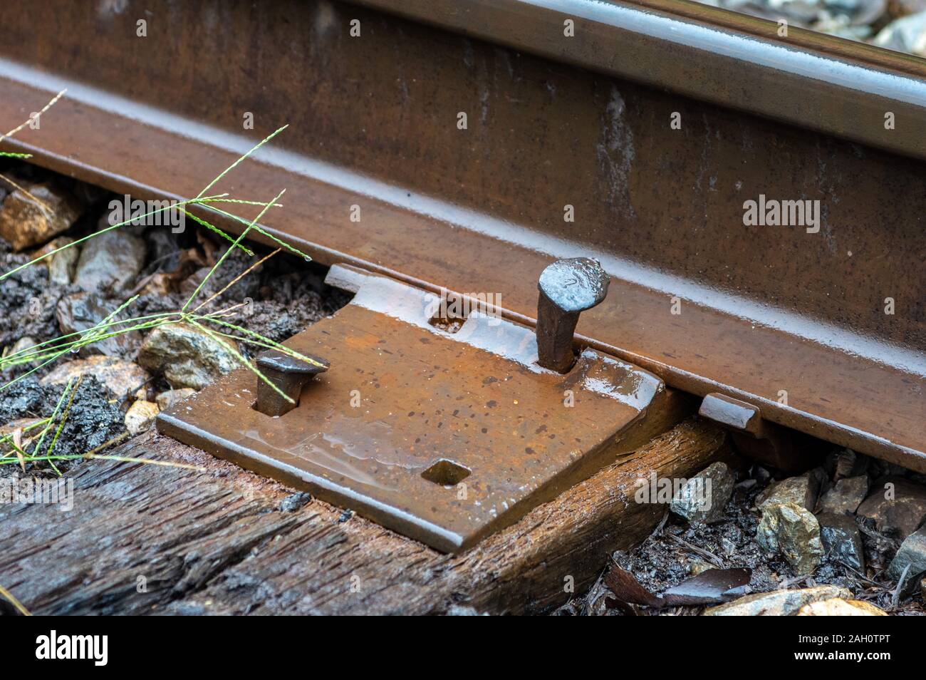 Rail spike hi-res stock photography and images - Alamy