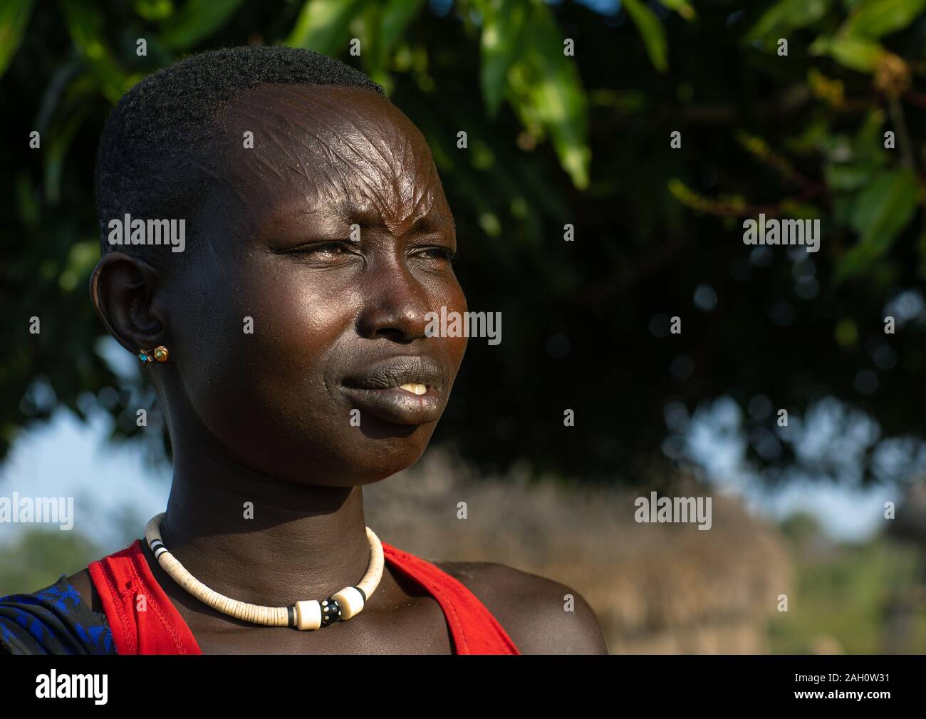 Portrait of a Mundari tribe woman with scarifications on the forehead, Central Equatoria ...