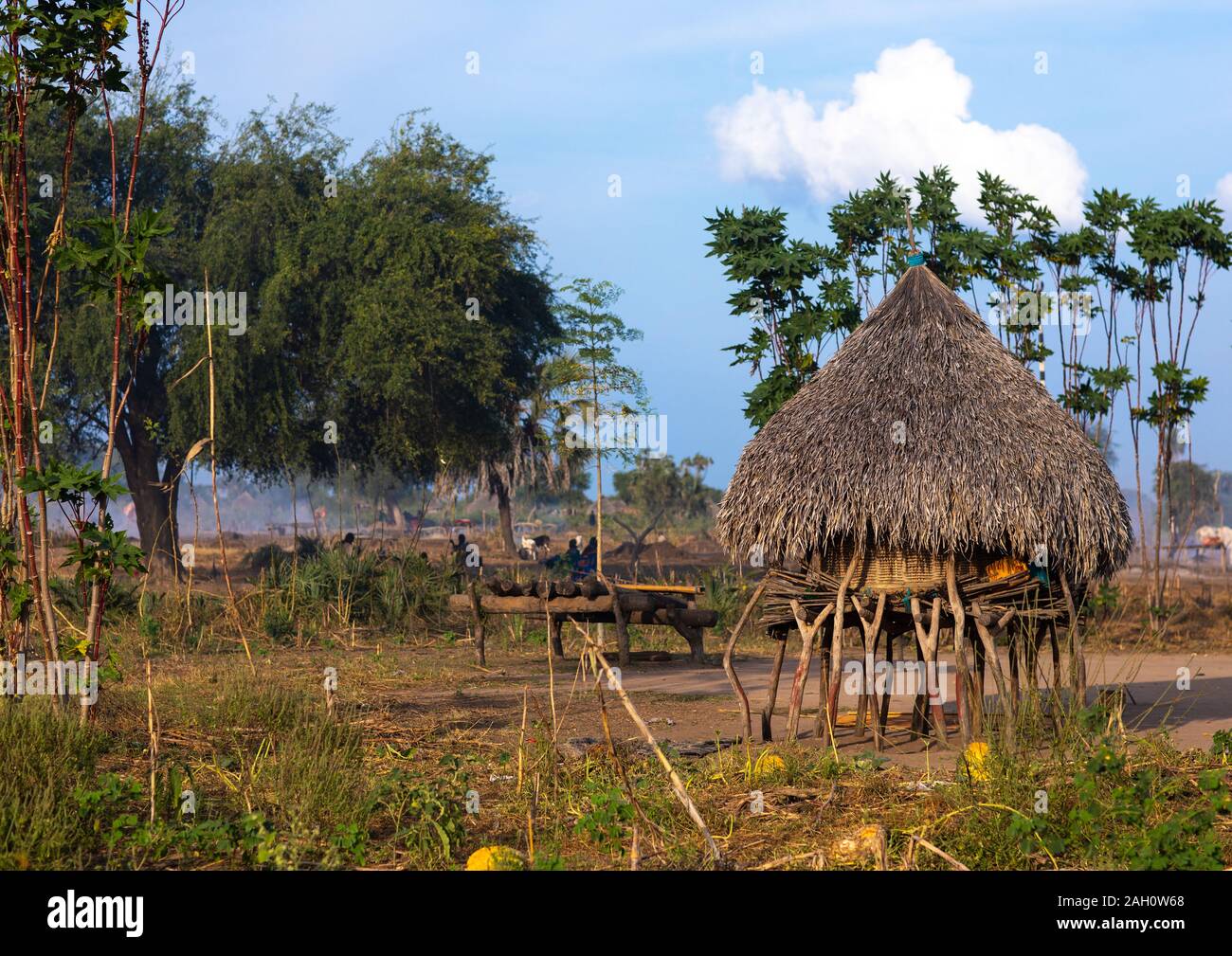 Traditional Mundari tribe village, Central Equatoria, Terekeka, South ...