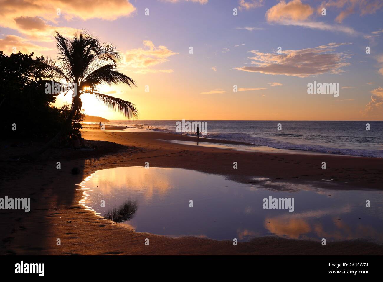 Sunset at Guadeloupe sandy beach. Caribbean vacation landscape. Perle ...