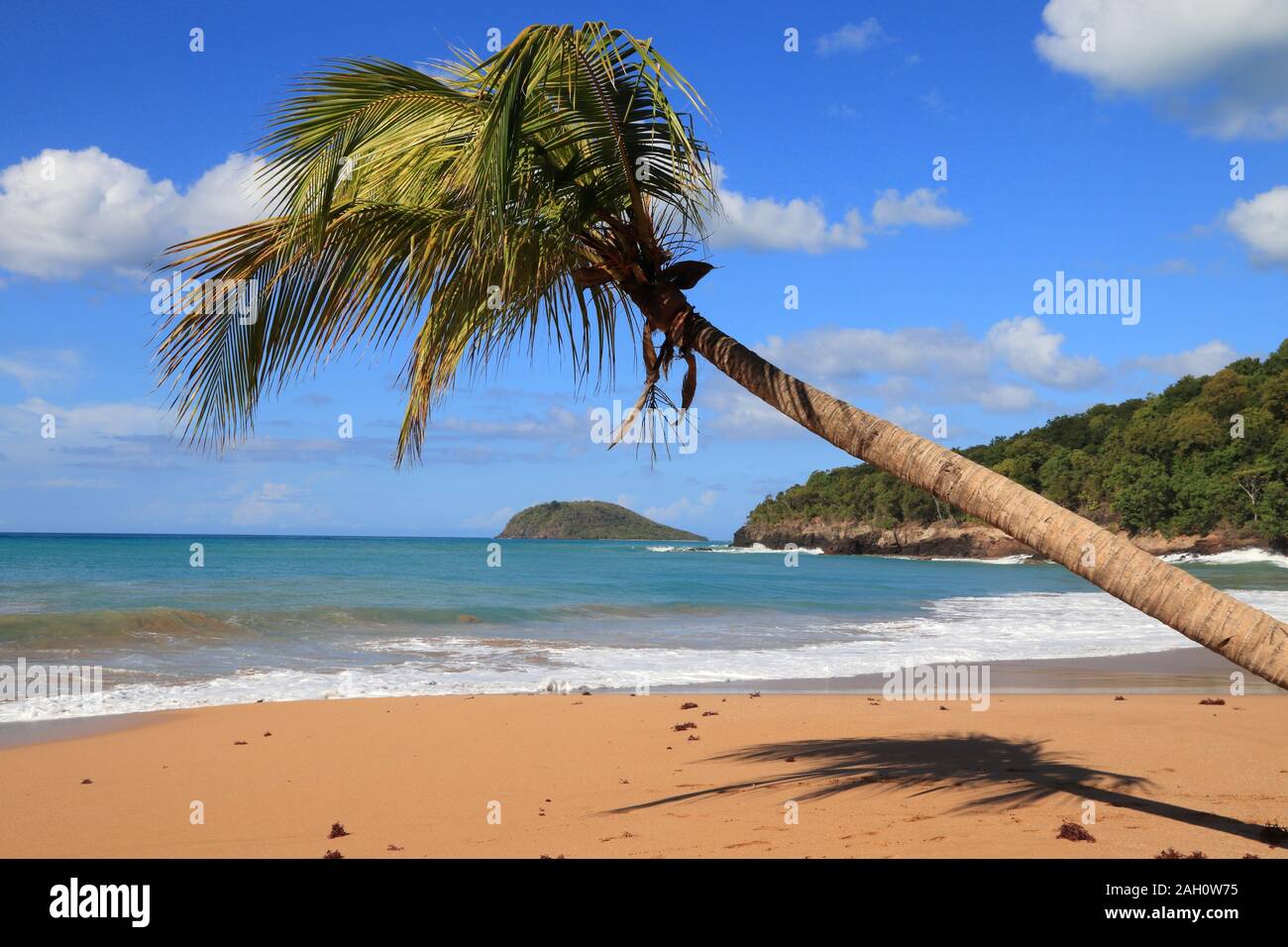 Guadeloupe sandy beach. Caribbean vacation landscape. Perle Beach ...