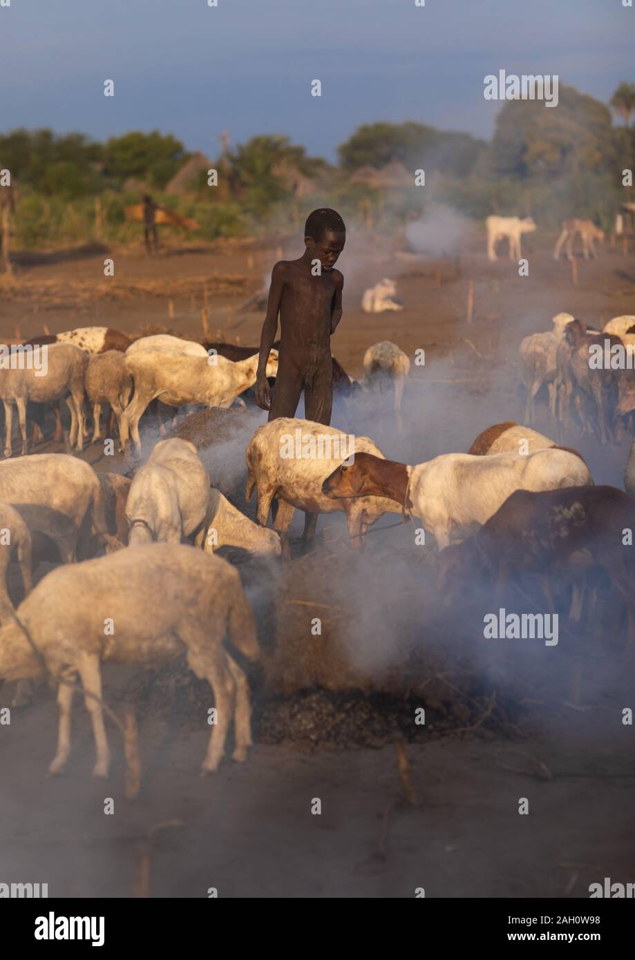 Mundari tribe boy taking care of his sheeps in a camp, Central ...