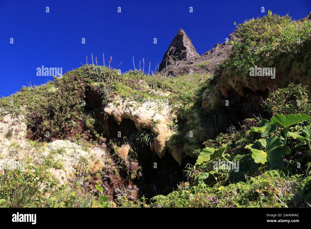 Volcano La Soufriere in Guadeloupe. Natural landmark active volcano ...