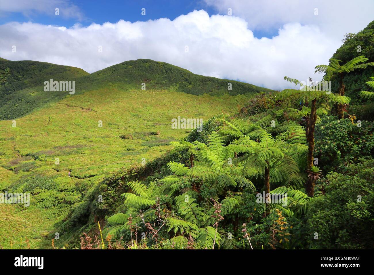 Volcano La Soufriere landscape in Guadeloupe. Natural landmark active ...