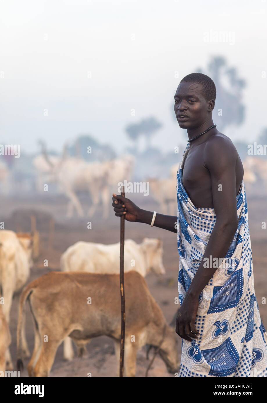 Portrait of a Mundari tribe man with his long horns cows, Central Equatoria, Terekeka, South ...