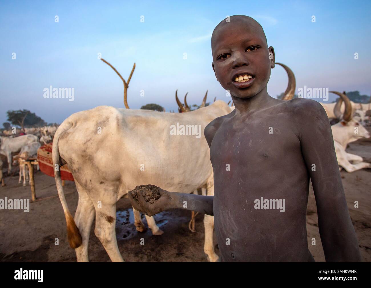 Mundari tribe boy taking care of the long horns cows in the camp, Central Equatoria, Terekeka ...