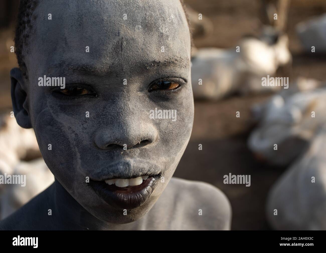 Portrait of a Mundari tribe boy covered in ash, Central Equatoria, Terekeka, South Sudan Stock ...