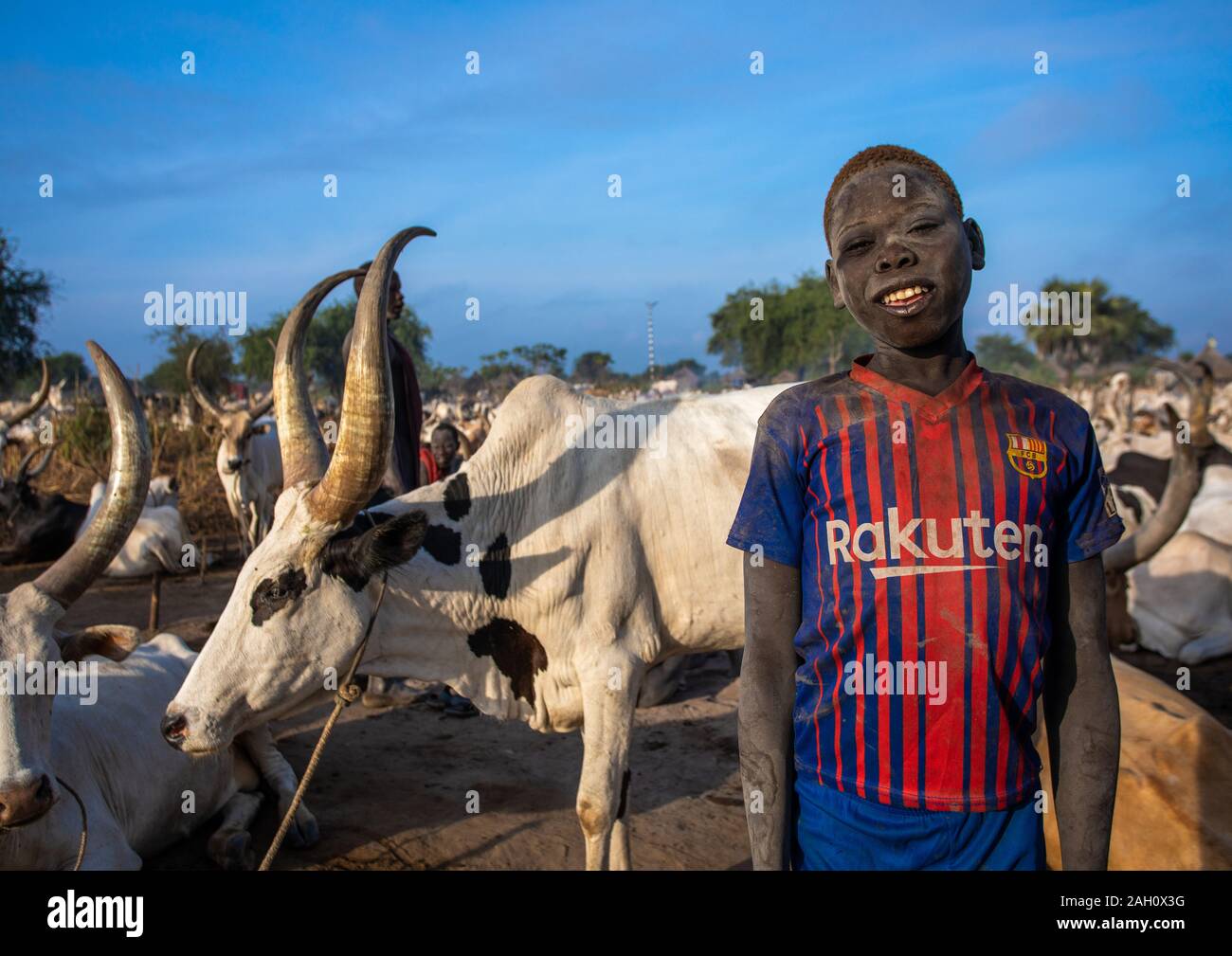 Mundari tribe boy with his long horns cows in the camp, Central Equatoria, Terekeka, South Sudan ...
