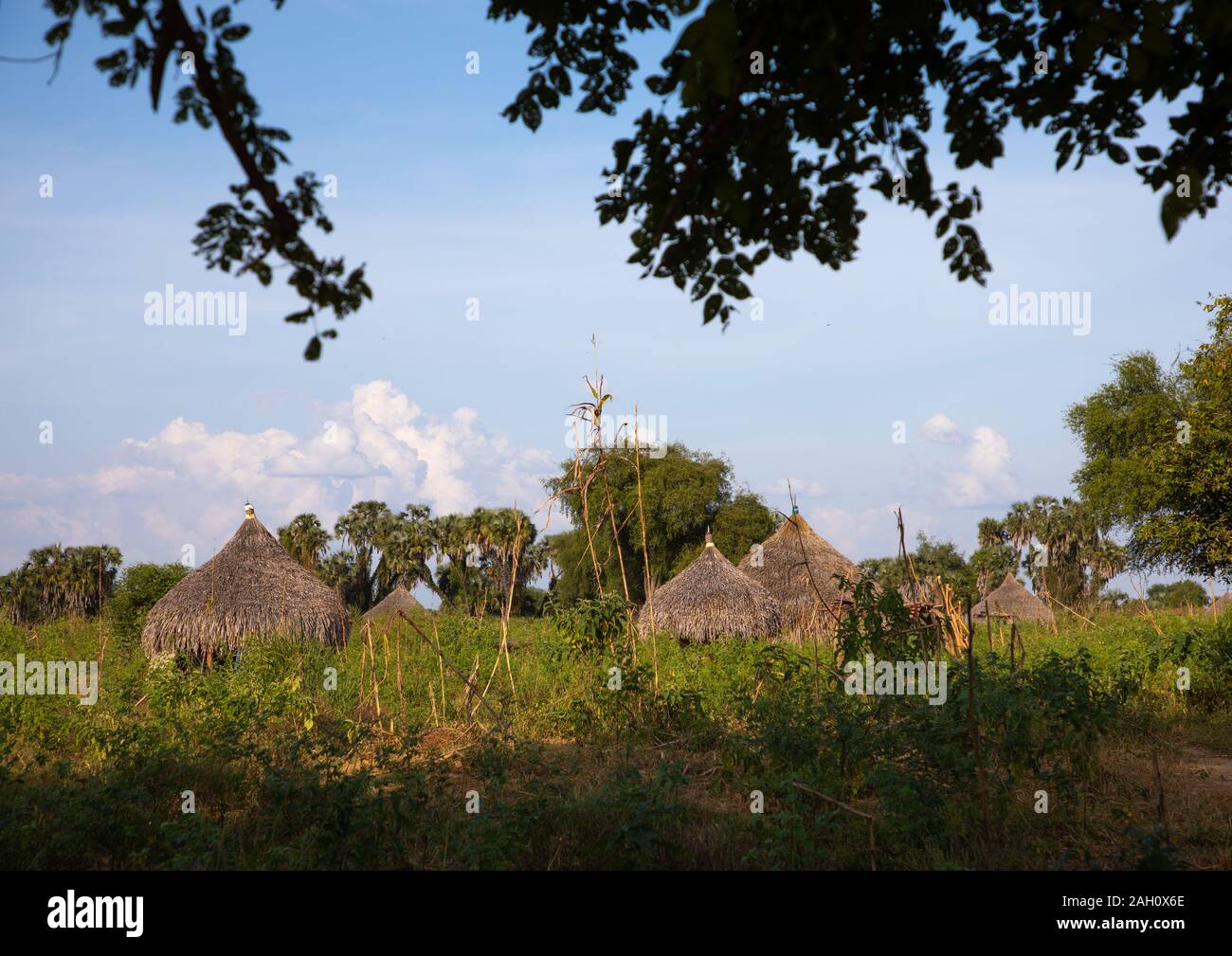 Traditional Mundari tribe village, Central Equatoria, Terekeka, South ...