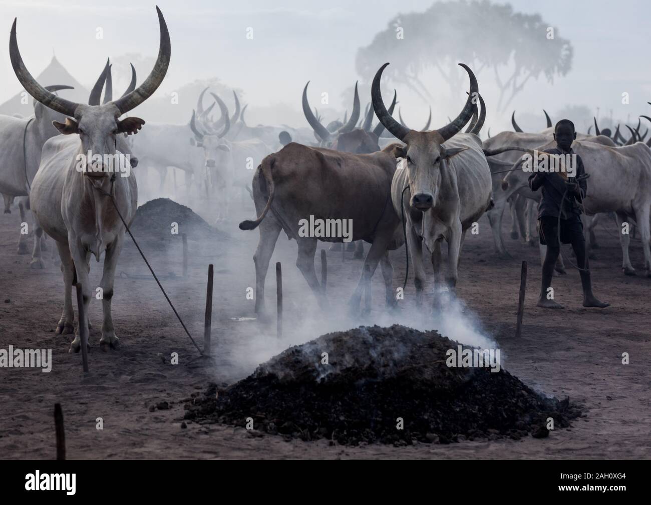 Tribal bonfire hi-res stock photography and images - Alamy