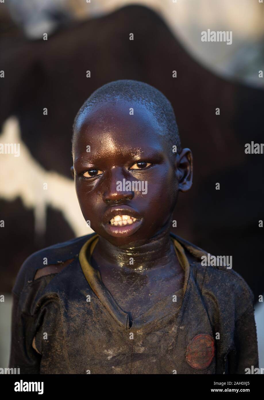 Mundari tribe boy after showering in the cow urine to dye his hair in orange, Central Equatoria ...