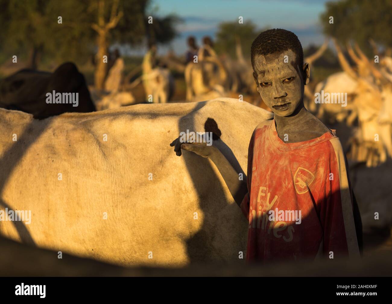 Mundari tribe boy taking care of the long horns cows in the camp, Central Equatoria, Terekeka ...
