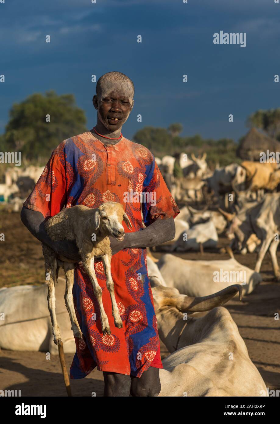 Portrait of a Mundari tribe man carrying a young sheep, Central Equatoria, Terekeka, South Sudan ...