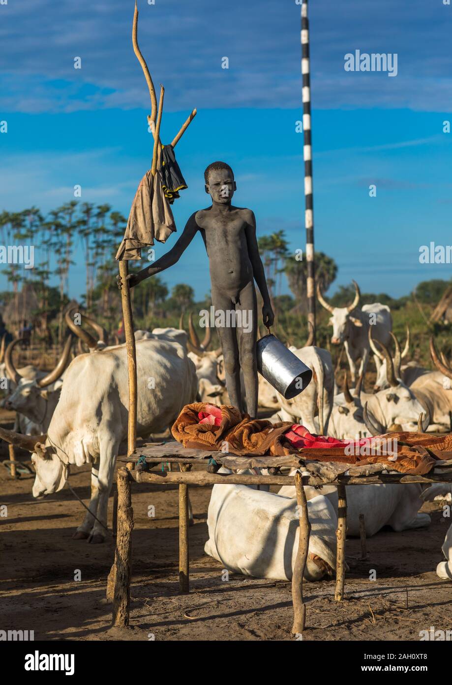 Mundari tribe boy standing on a wooden bed in the middle of his long horns cows, Central ...